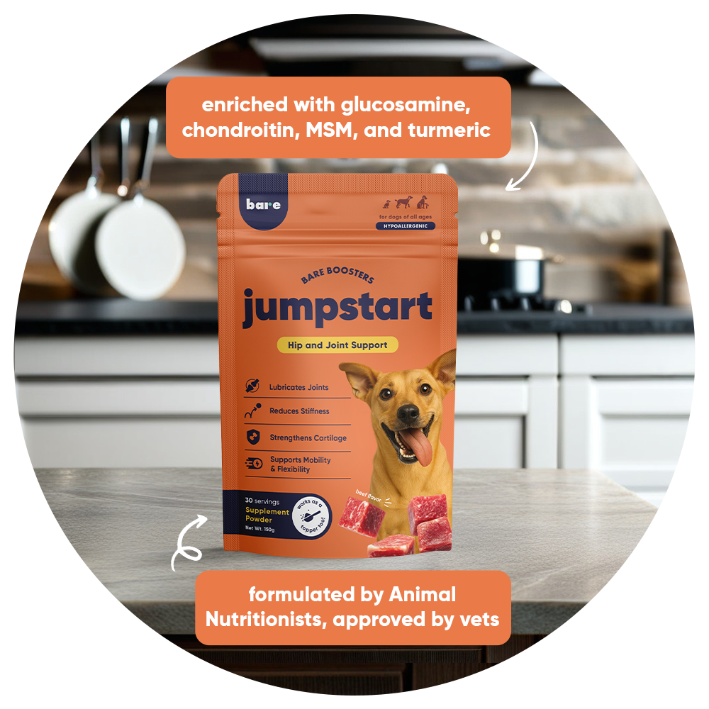 Jumpstart: Daily Joint Care for Dogs | Bare Pets